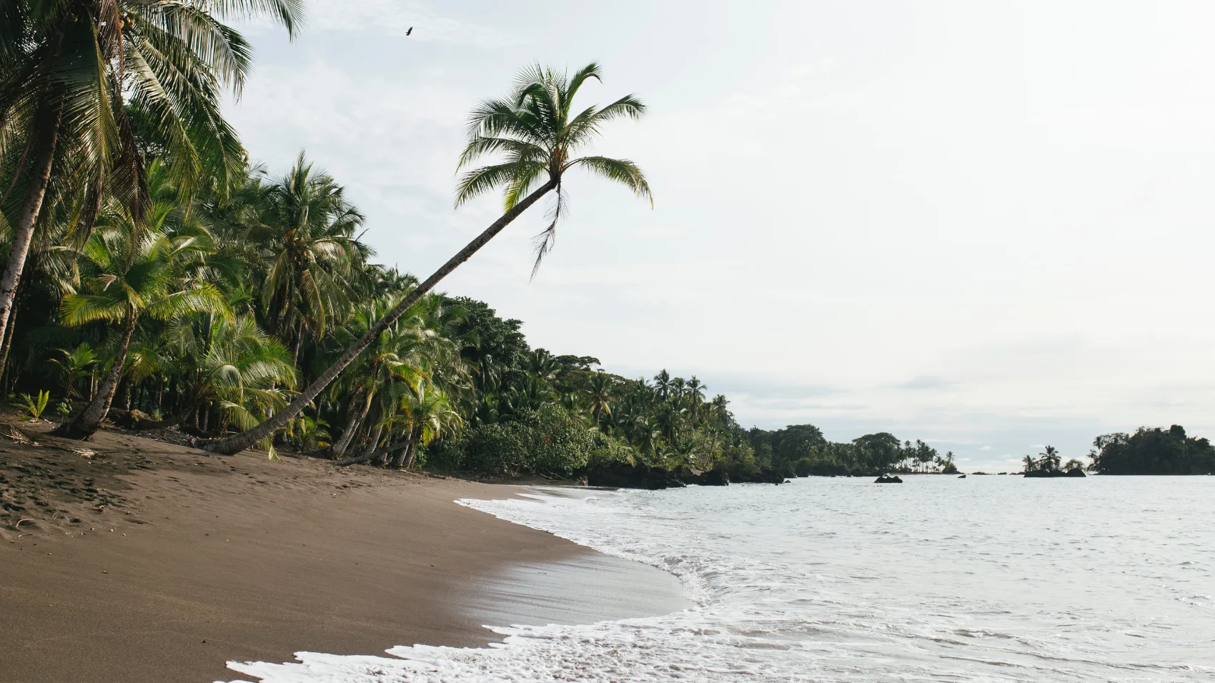 Plan Nuqui 4 Noches Pijiba Temporada Baja | Planes Turísticos LivingCol